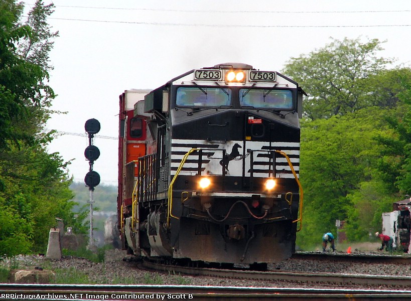 NS 7503